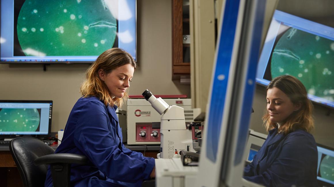 Biomedical Engineering Research