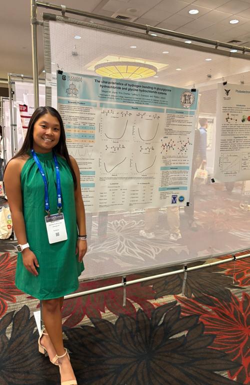 Integrated Computational and Experimental Chemistry NSF-REU Program