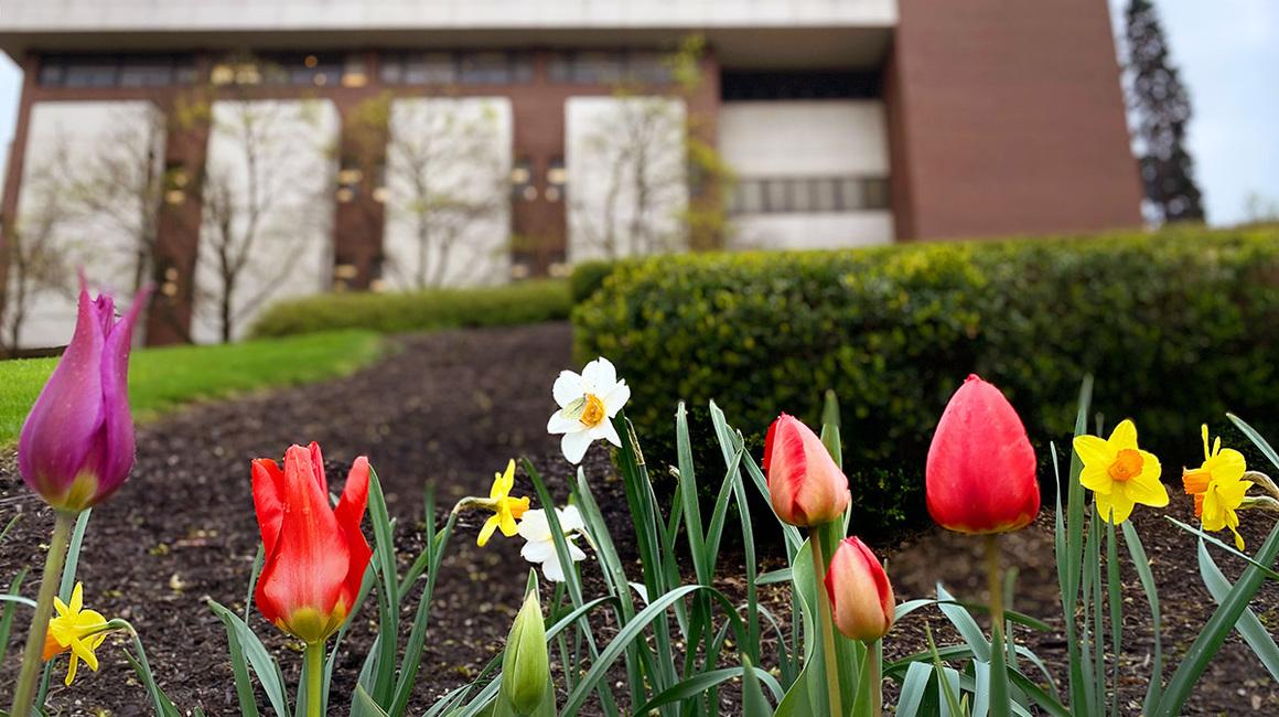 University Events for April, May