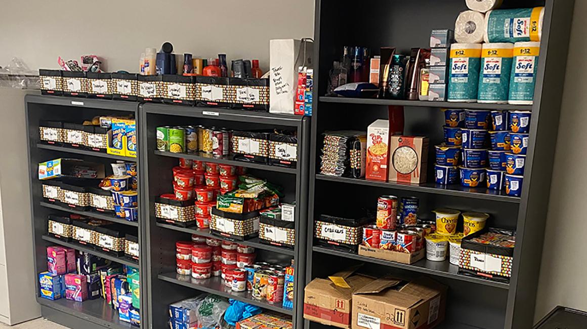 Mini Food Pantry