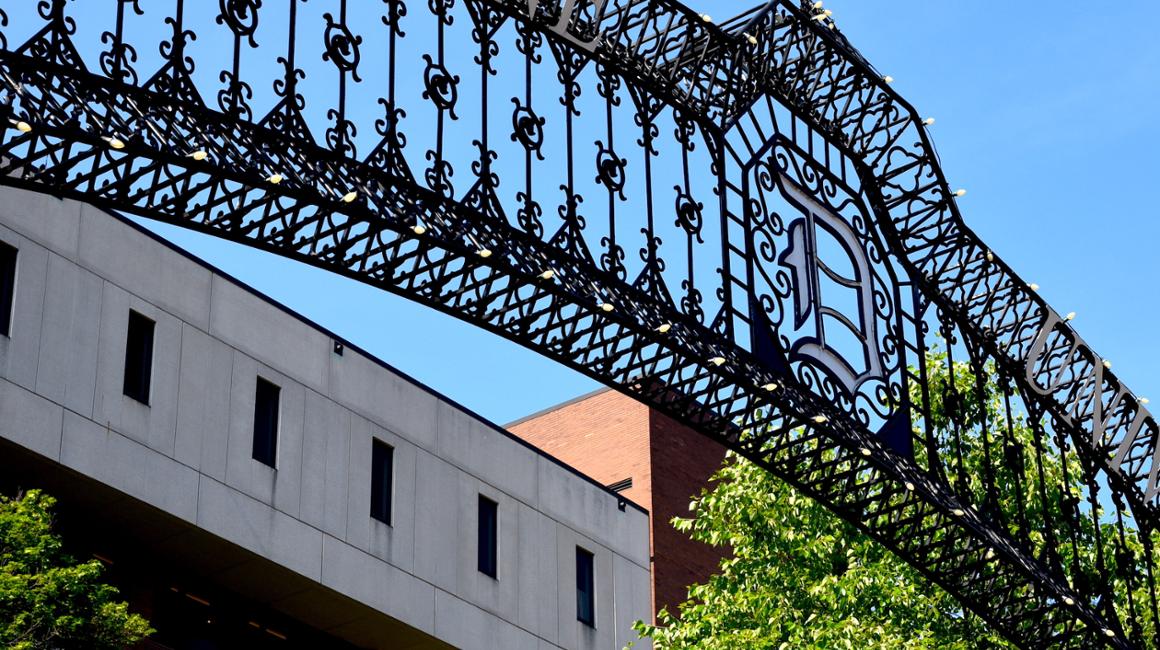 Paluse Faculty Research Grant Details